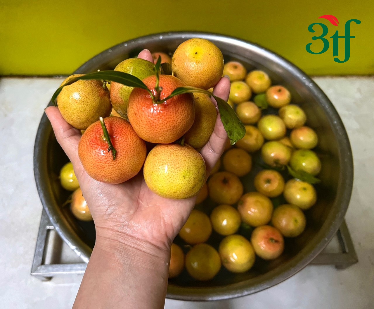 Cách ngâm chanh đào đường phèn trị ho cực kỳ hiệu quả. - Đường Phèn ...